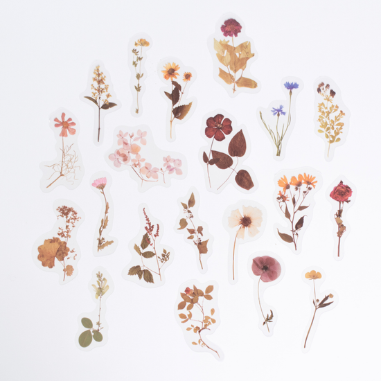 Stickers transparentes scrapbook – Mamika estudio